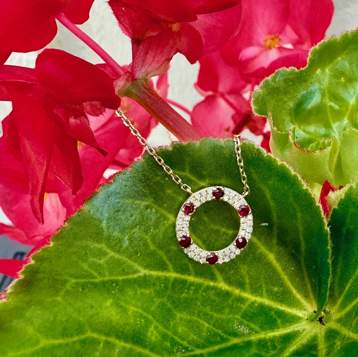 Diamond Ruby Circle Necklace – Burnell's Fine Jewelry